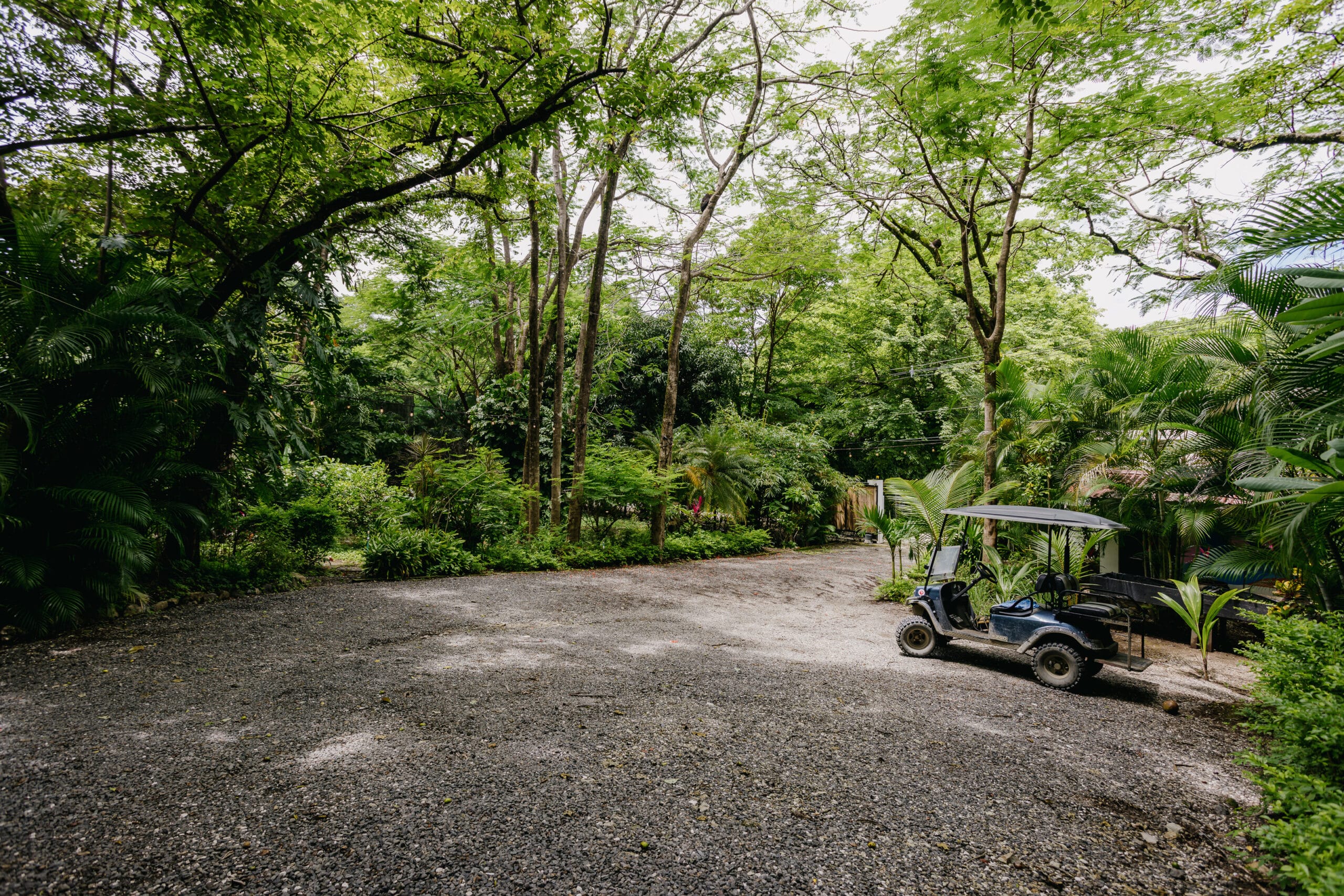Saltshots Photography (@saltshots) - Callum Morse - RE/MAX Nosara