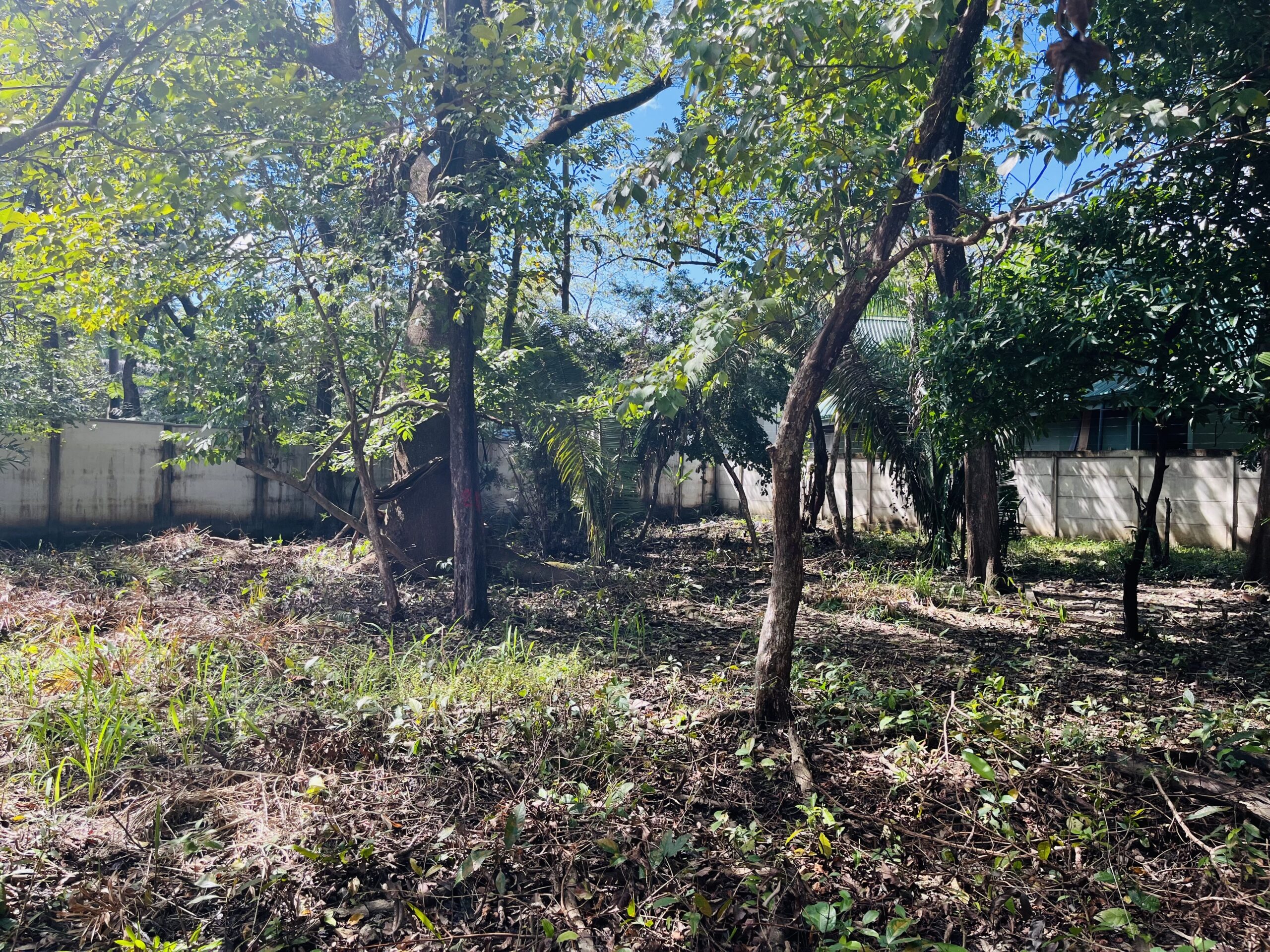 G 1 - RE/MAX Nosara