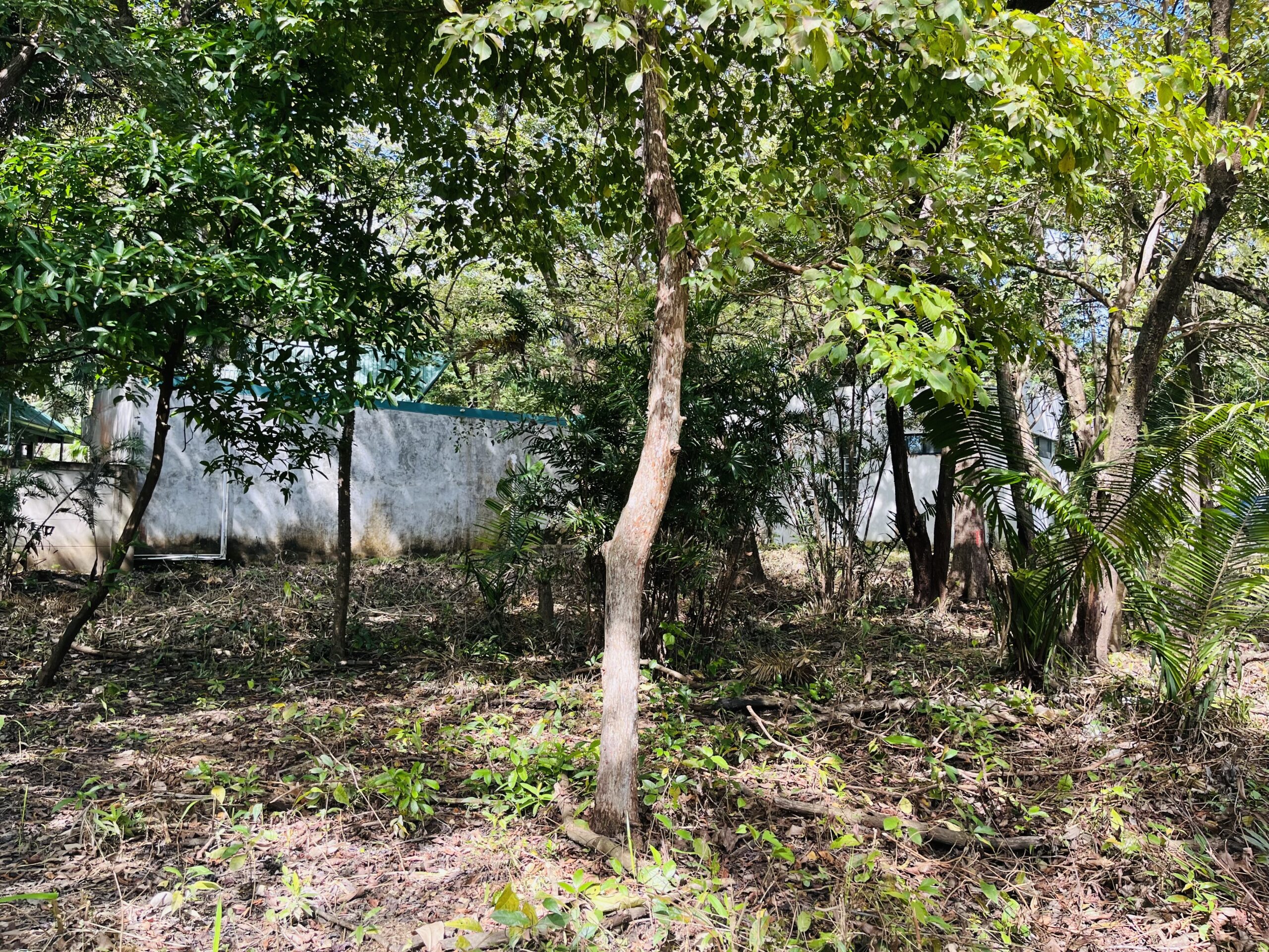 G 2 - RE/MAX Nosara