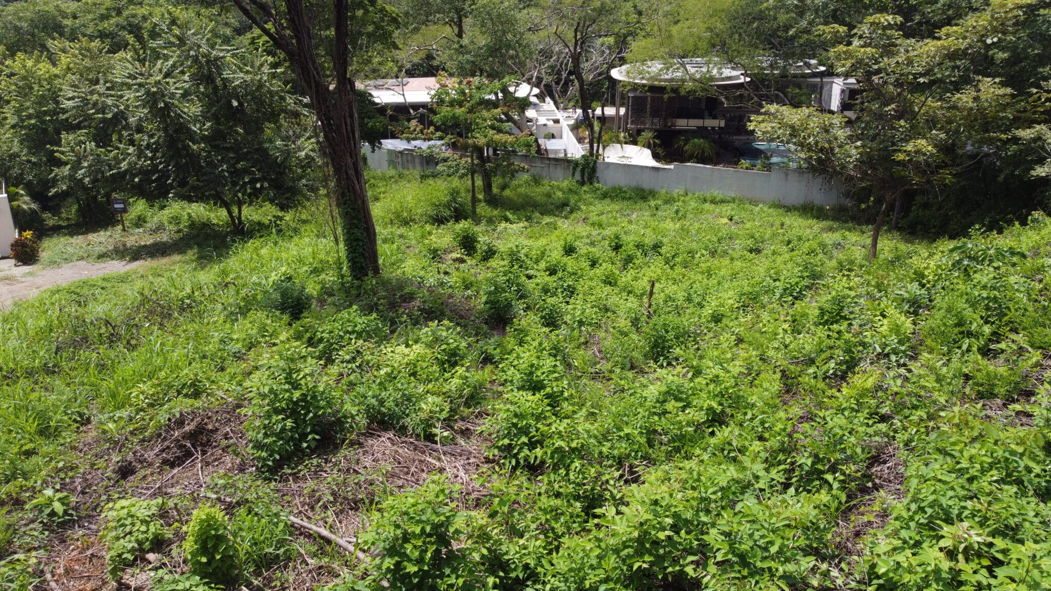 1/4 Acre in Pelada Bordering Refuge - SOLD - Nosara Real Estate